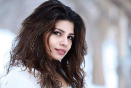 Jugnu Ishiqui: A Comprehensive Look At Full Biography And Lifestyle